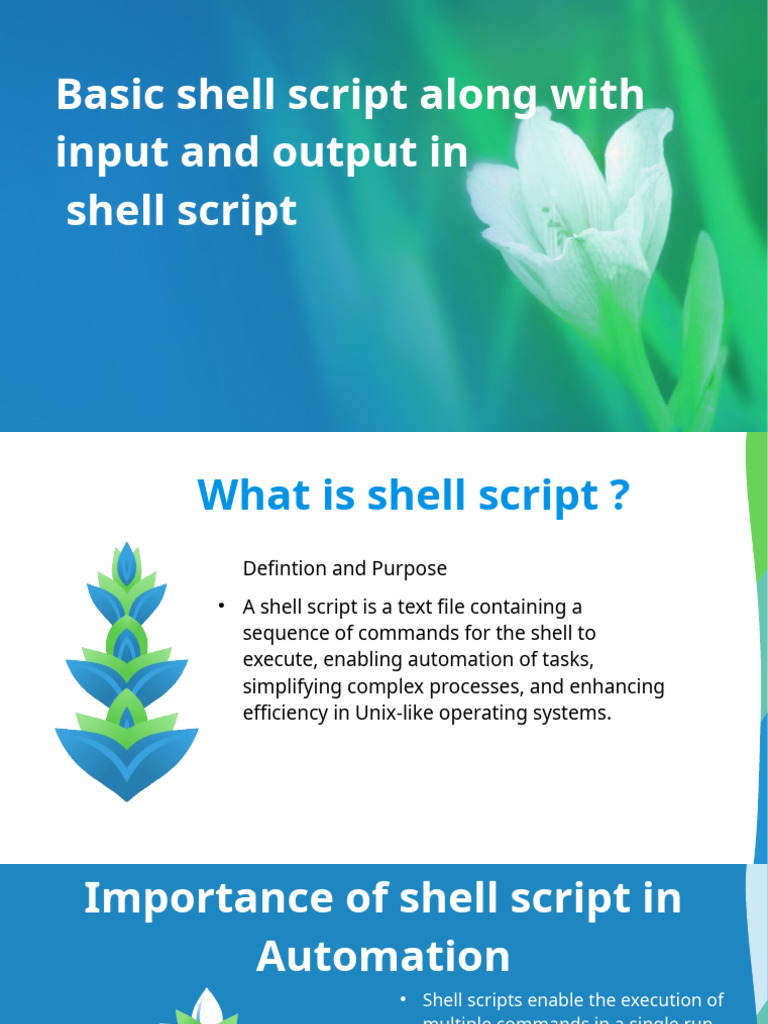 Introduction to Shell Scripting Basics | PDF | Automation | Shell ...