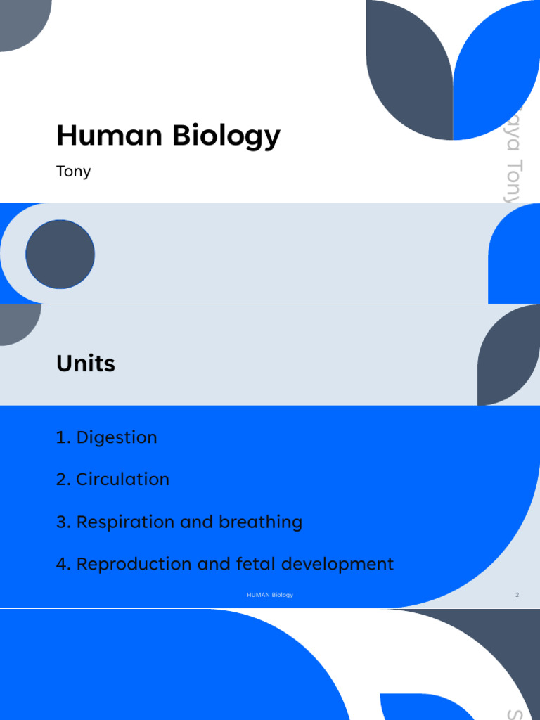 S2 Human Biology Revision | PDF | Menstrual Cycle | Respiratory System