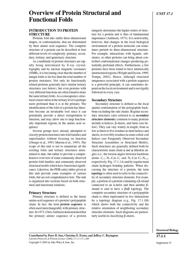 protein_structure_review | PDF | Beta Sheet | Alpha Helix