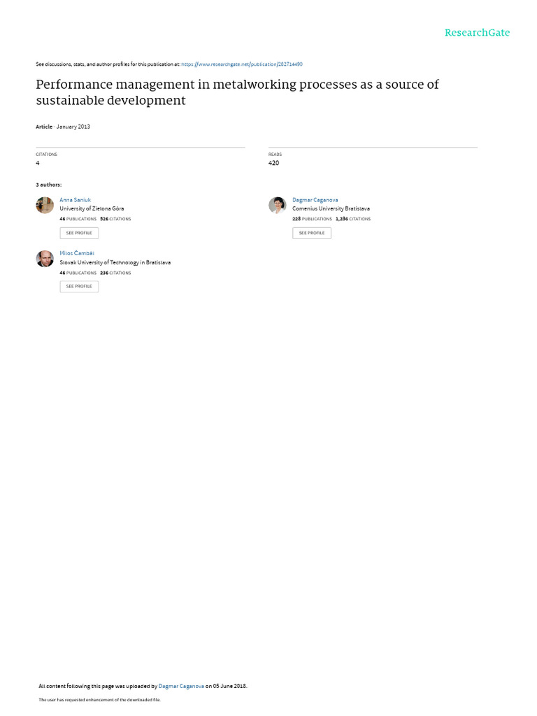 SANIUK CAGANOVA CAMBAL Metal 2013 Performance Management | PDF | Strategic Management ...