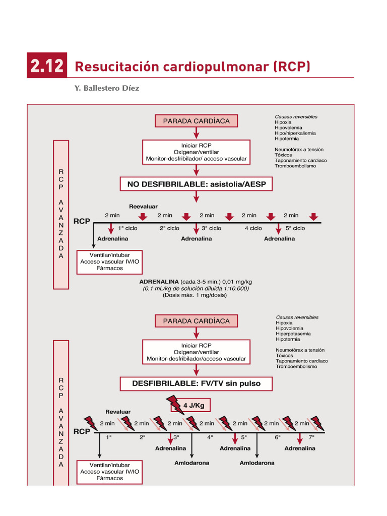 RCP Esquemas y Apuntes | PDF | Reanimación cardiopulmonar | Emergencias ...
