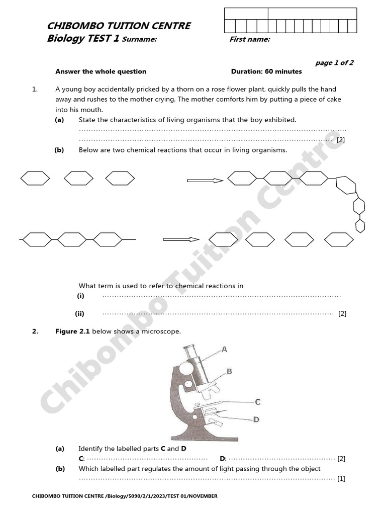 CTC Bio T1 November 2023 | PDF | Life Sciences | Biology