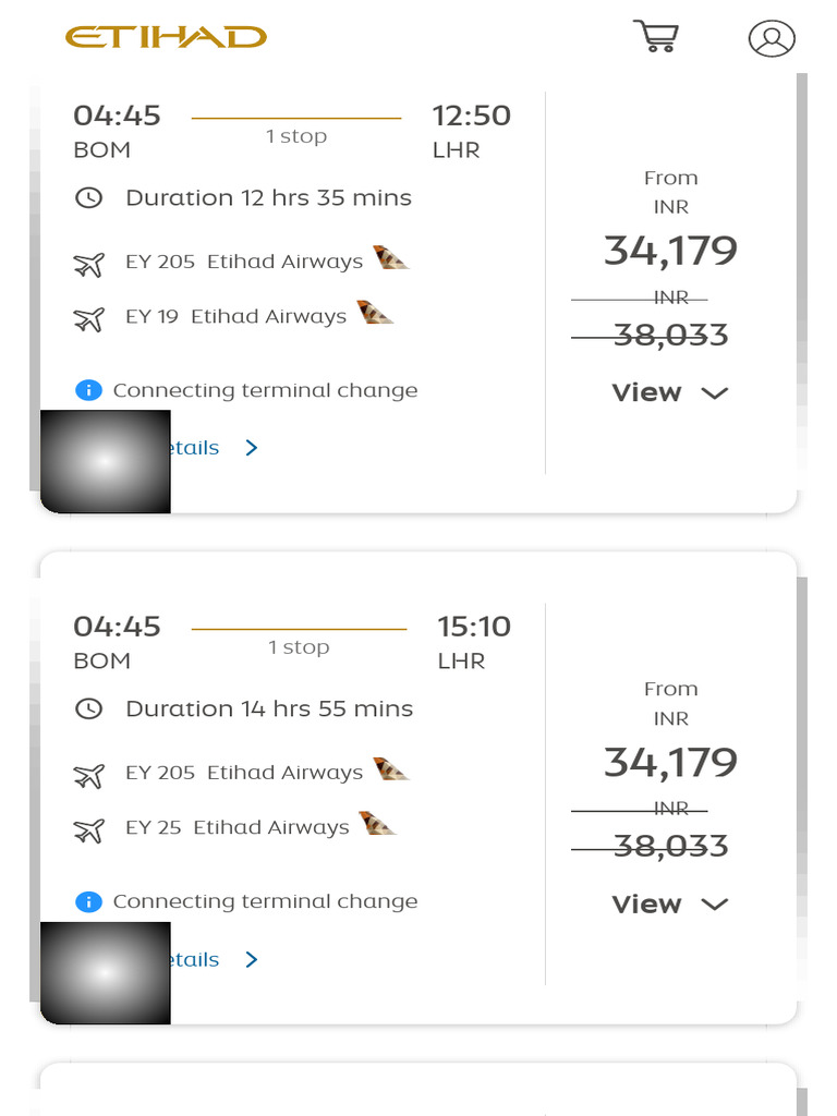 EY 205 Flight Details and Duration | PDF