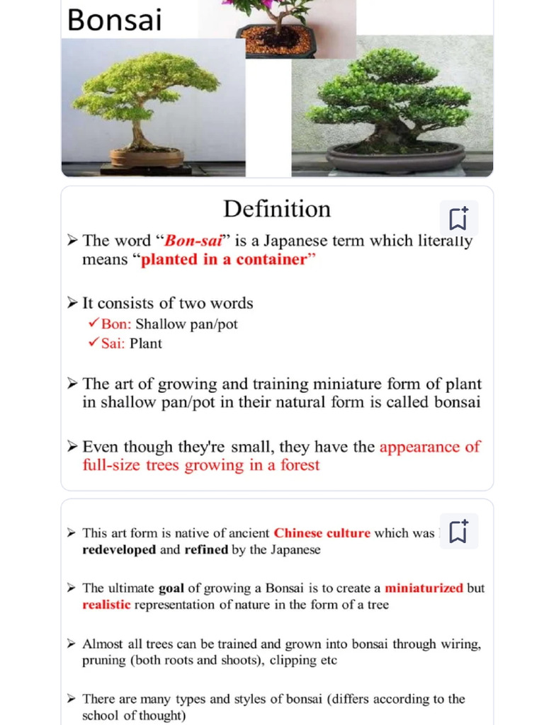 Bonsai | PDF