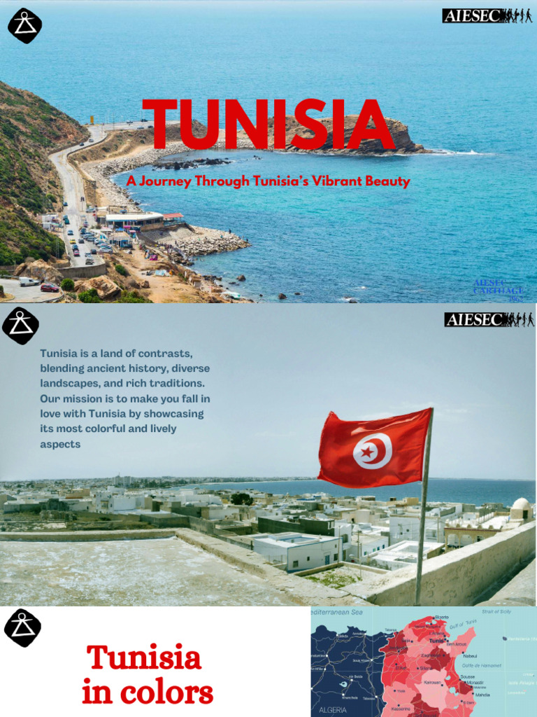 Discover Tunisia's Vibrant Beauty | PDF