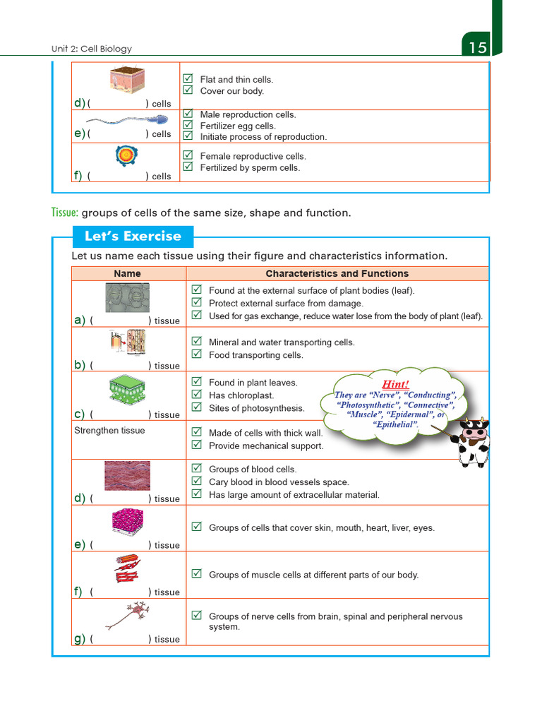Biology Workbook Grade 8 3 | PDF | Reproductive System | Menstrual Cycle