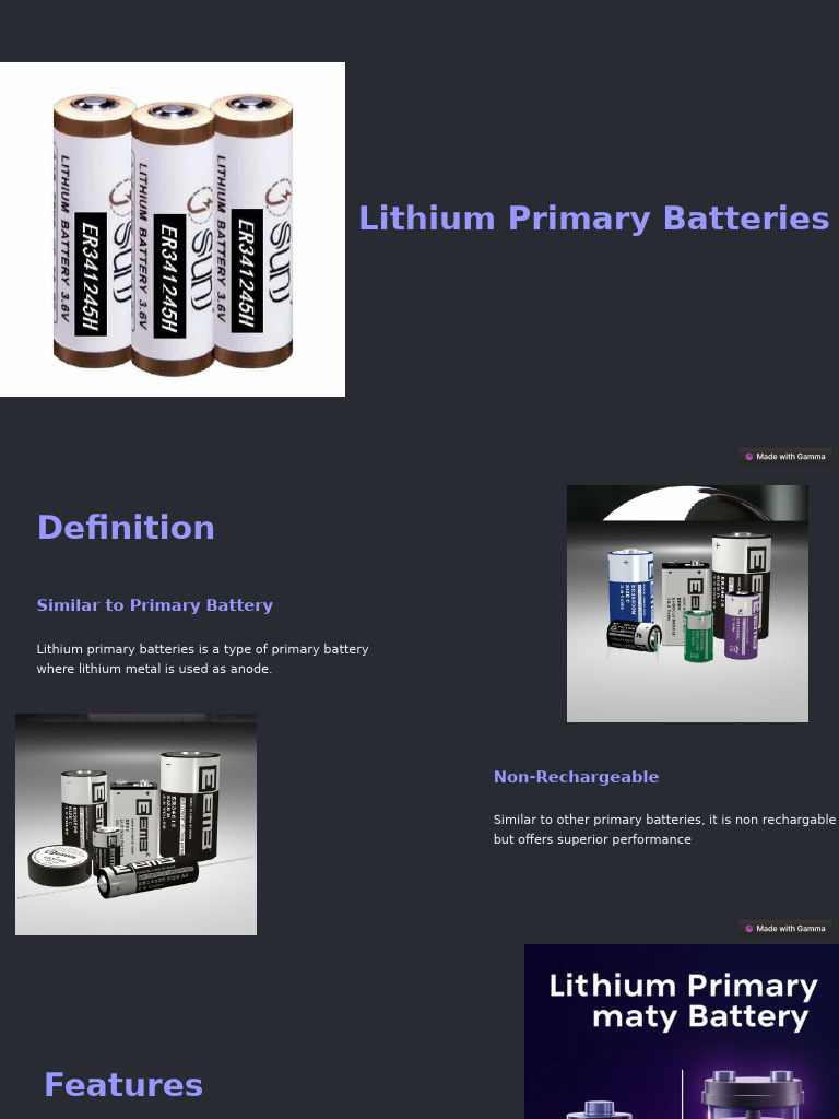 Overview of Lithium Primary Batteries | PDF