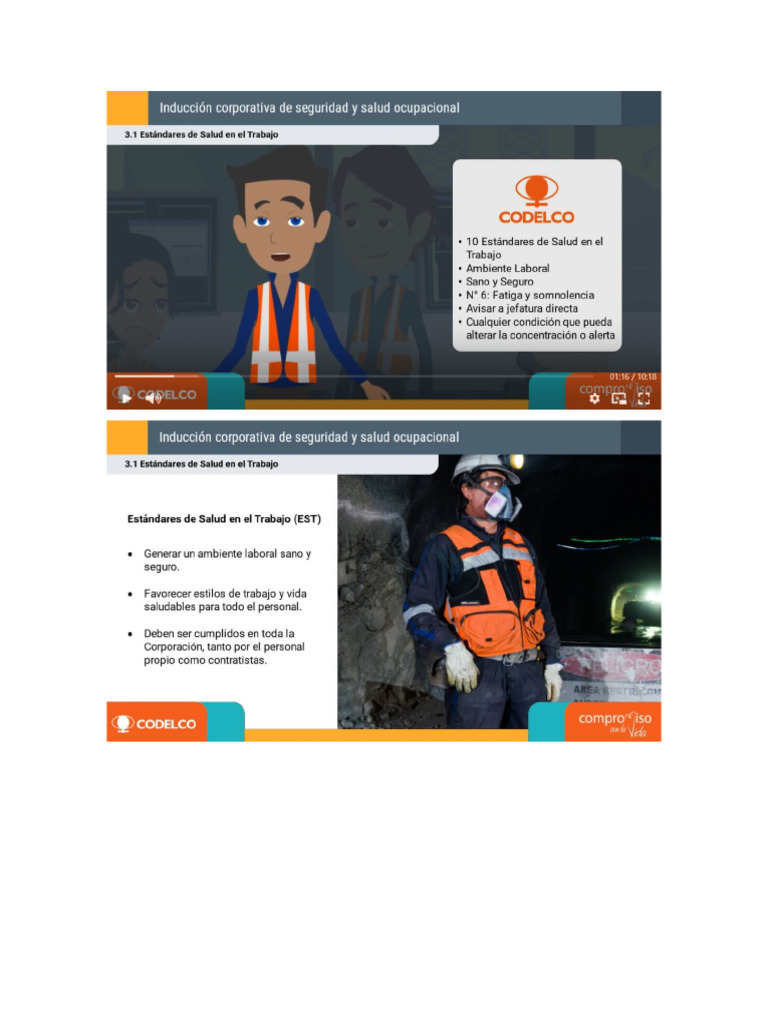 modulo 3 estándares de SSo de codelco | PDF