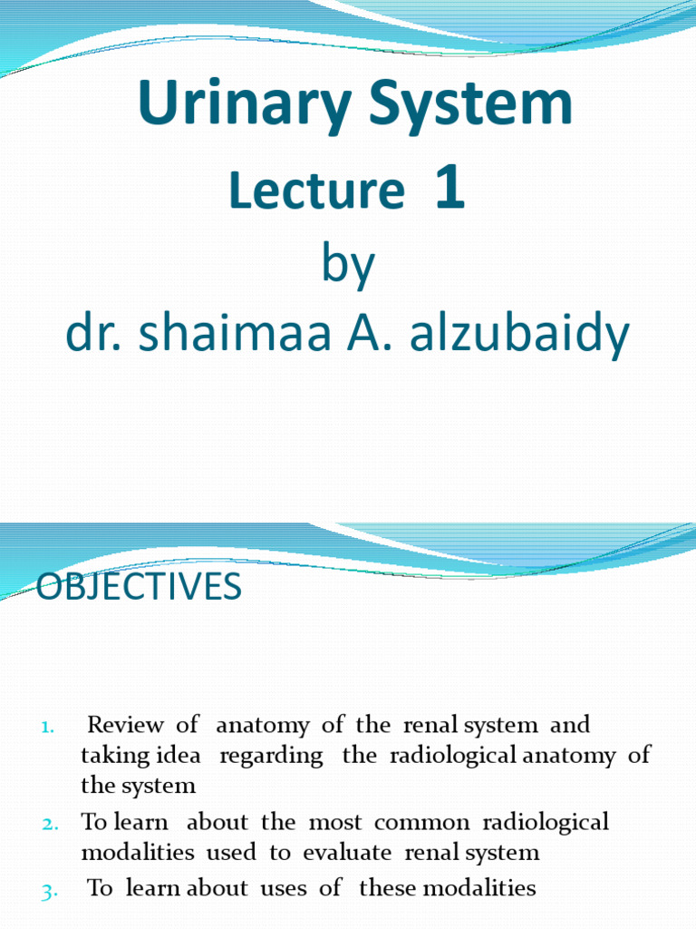 Uurinary System Lecture 1 New Pdf Kidney Urinary System