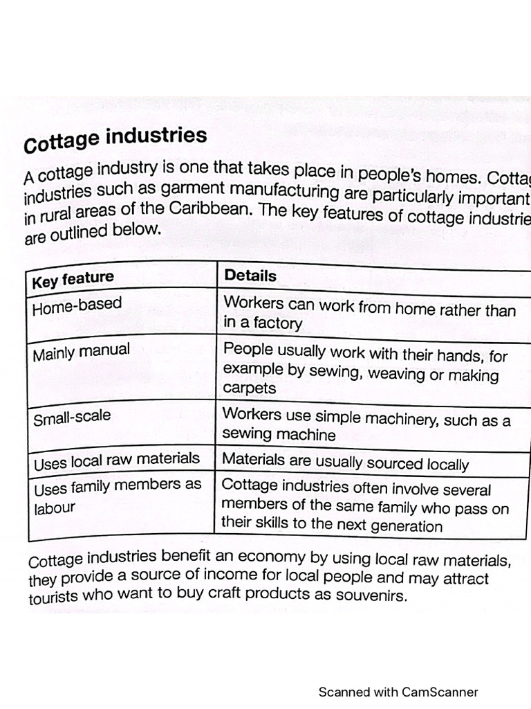 Small Business and Cottage Industry | PDF