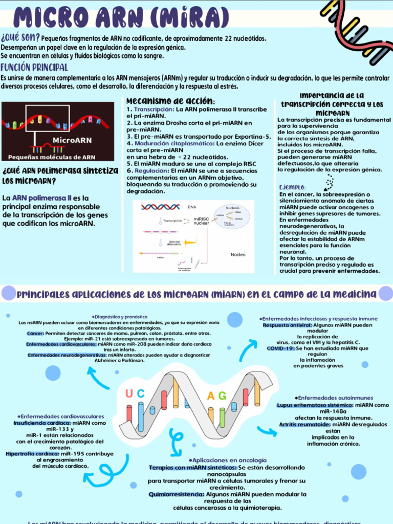 Micro ARN | PDF | Micro Rna | Rna