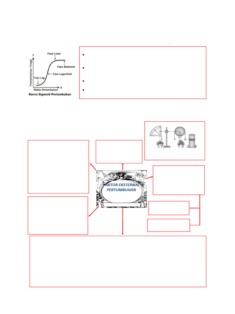 Materi To-1 Bologi (25 Agustus 2024) | PDF