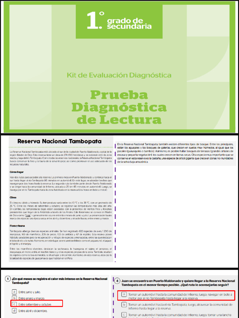 Prueba Diagnostica Lectura_ 1sec | PDF