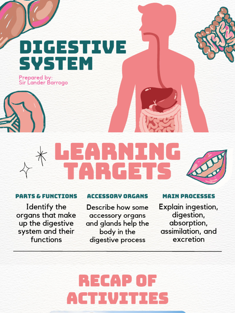 G8 #1 Parts and Functions of The Digestive System | PDF