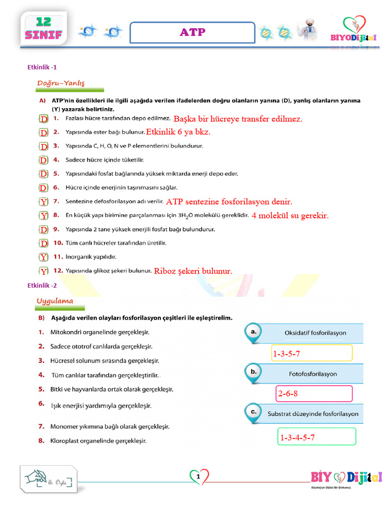 12 Sinif Atp CVP | PDF