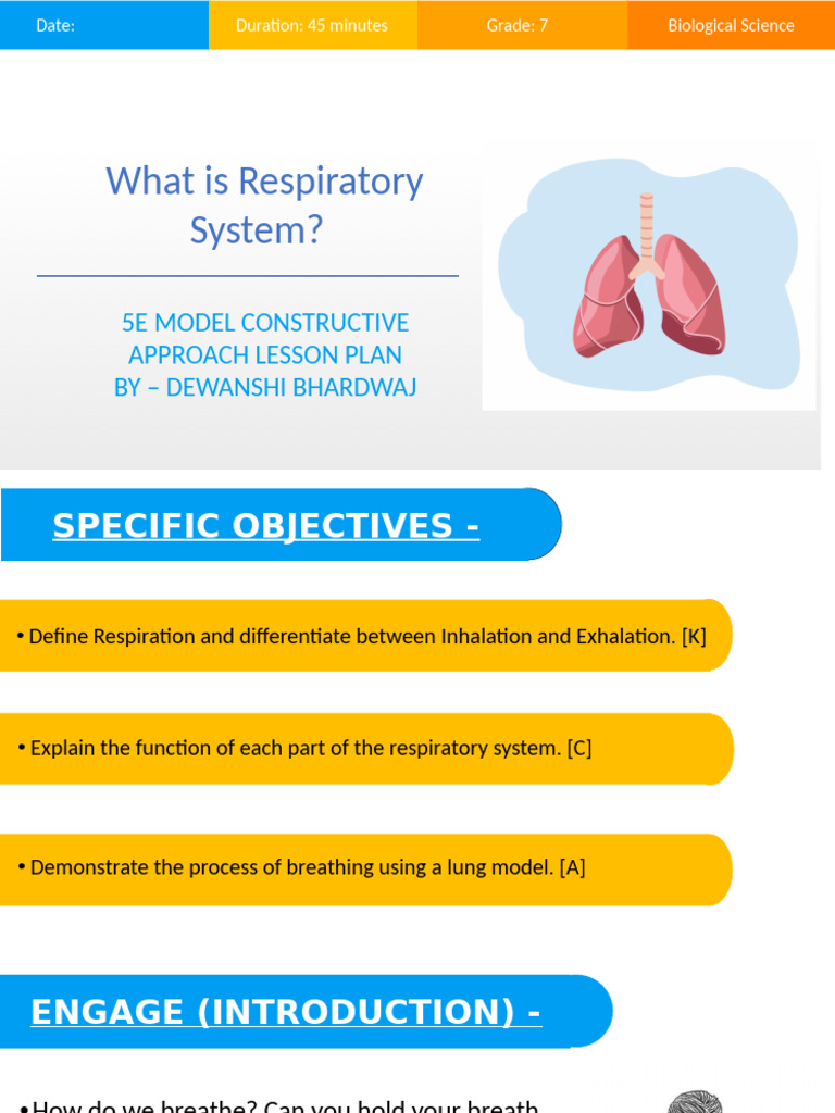 Inhalation vs. Exhalation Explained | PDF | Breathing | Respiratory System