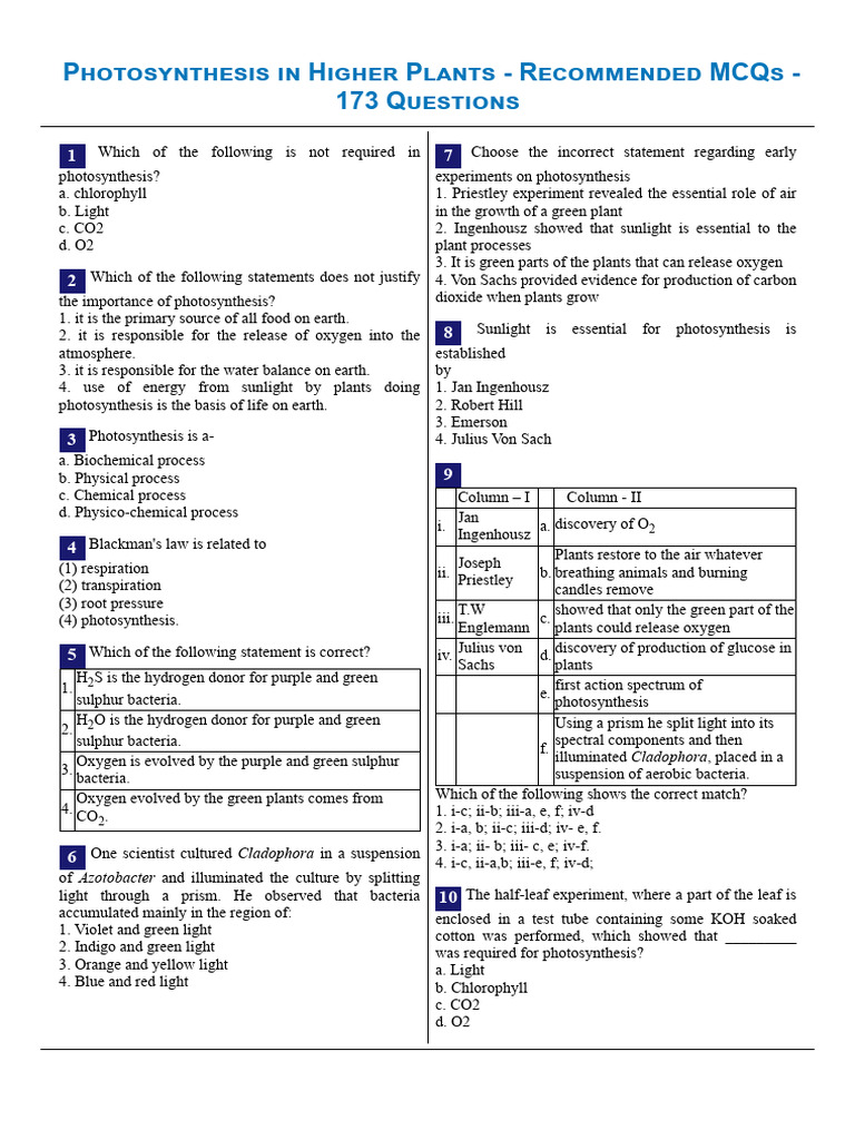 Key Concepts of Photophosphorylation | PDF | Photosynthesis | Chloroplast