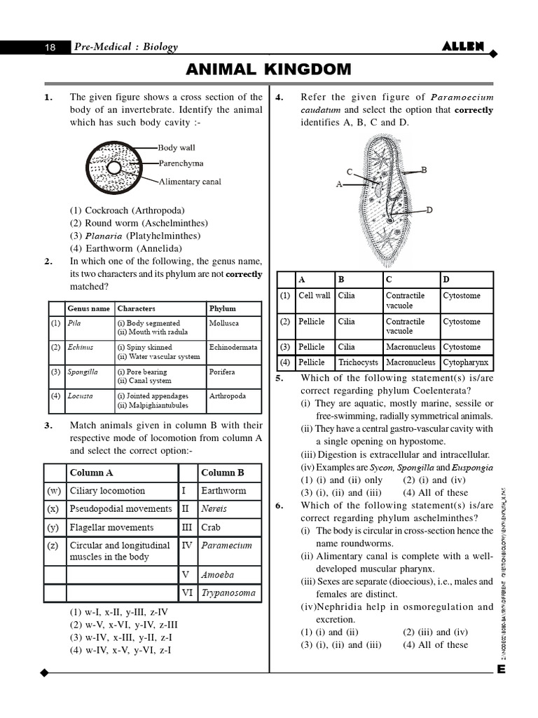 Animal Kingdom Practice Ws | PDF | Zoology