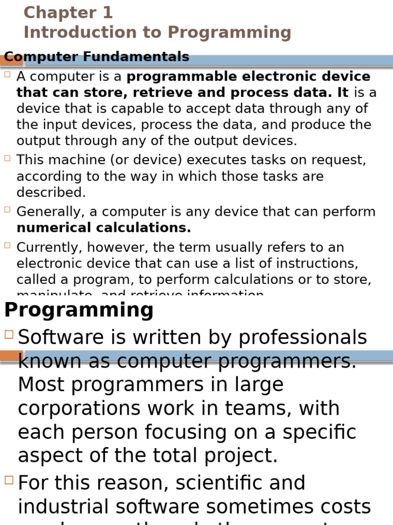 Introduction to Programming Basics | PDF | Software Testing | Computer ...