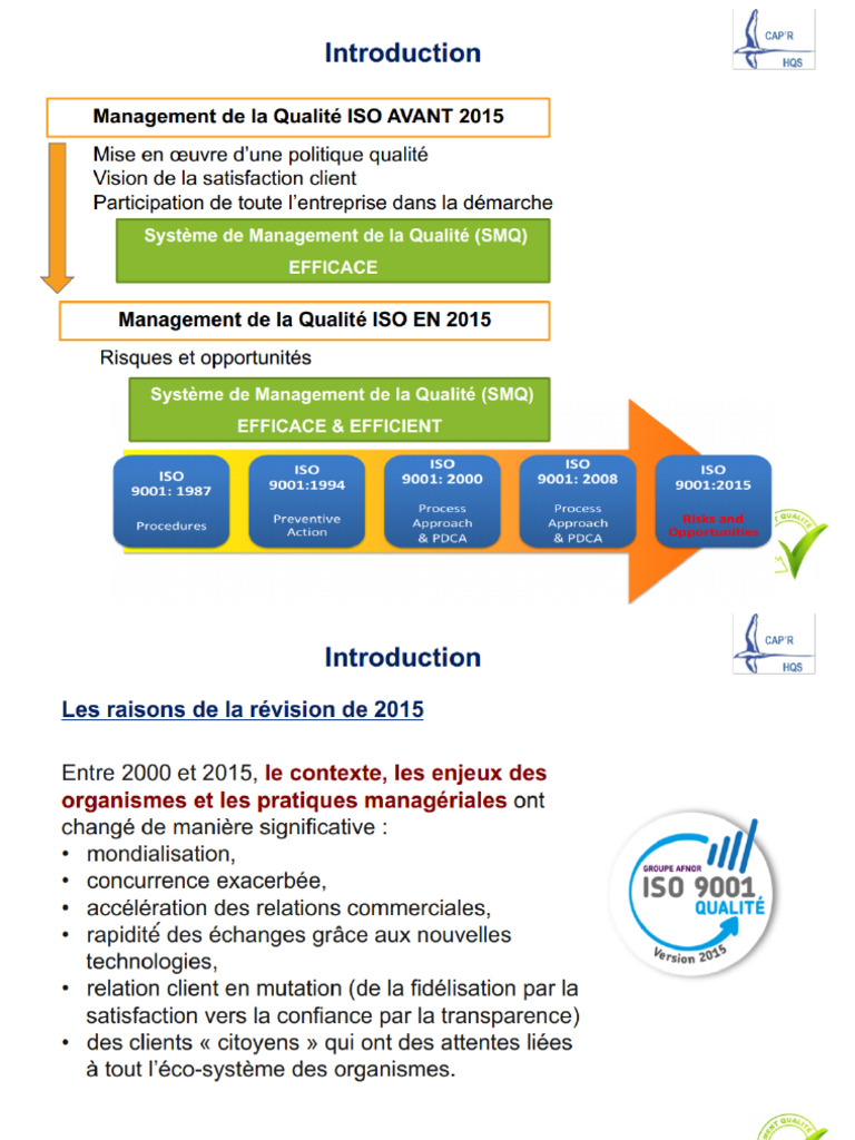 Système de Management de La Qualité - Norme Iso 9001 - 2015 | PDF