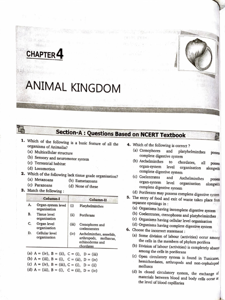 Animal Kingdom: NCERT Questions Guide | PDF | Zoology