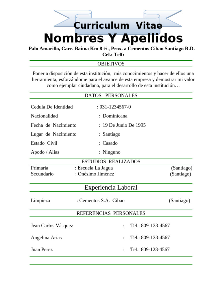 0000 Modelo Muestra MODELO CV | PDF