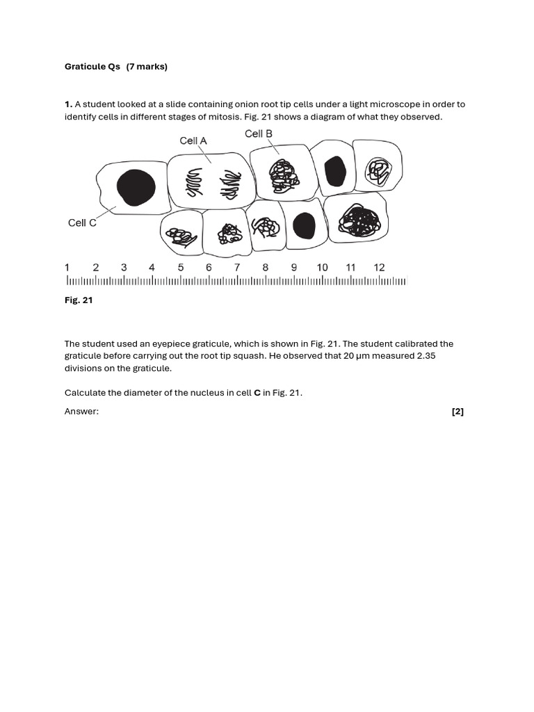 Graticule Questions | PDF