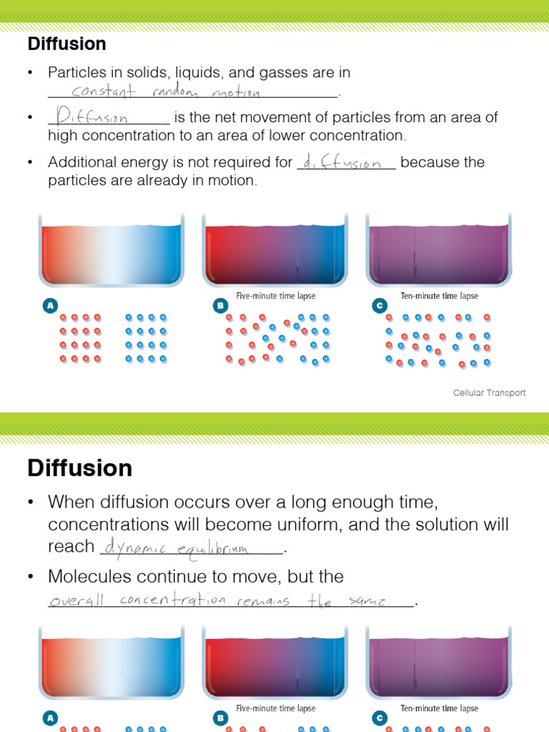 Bio Ch. 7 Cellular Structure & Function Student Notes 2 | PDF | Osmosis ...