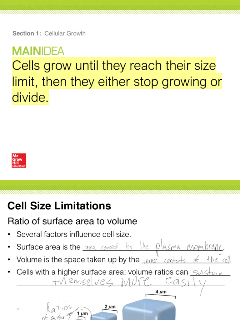 Bio Ch 9 Cellular Reproduction (student) | PDF | Mitosis | Cell Cycle