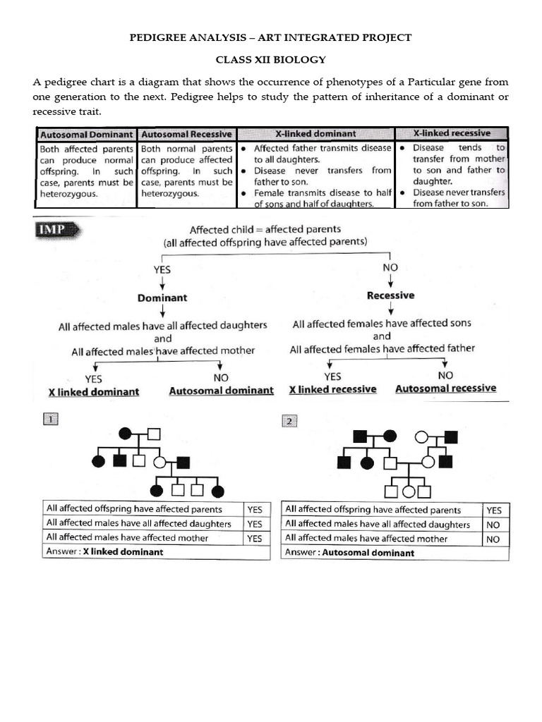 Pedigree Analysis in Class XII Biology | PDF