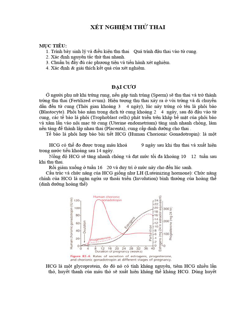 GIAO TRINH TT Sinh Ly 2 | PDF