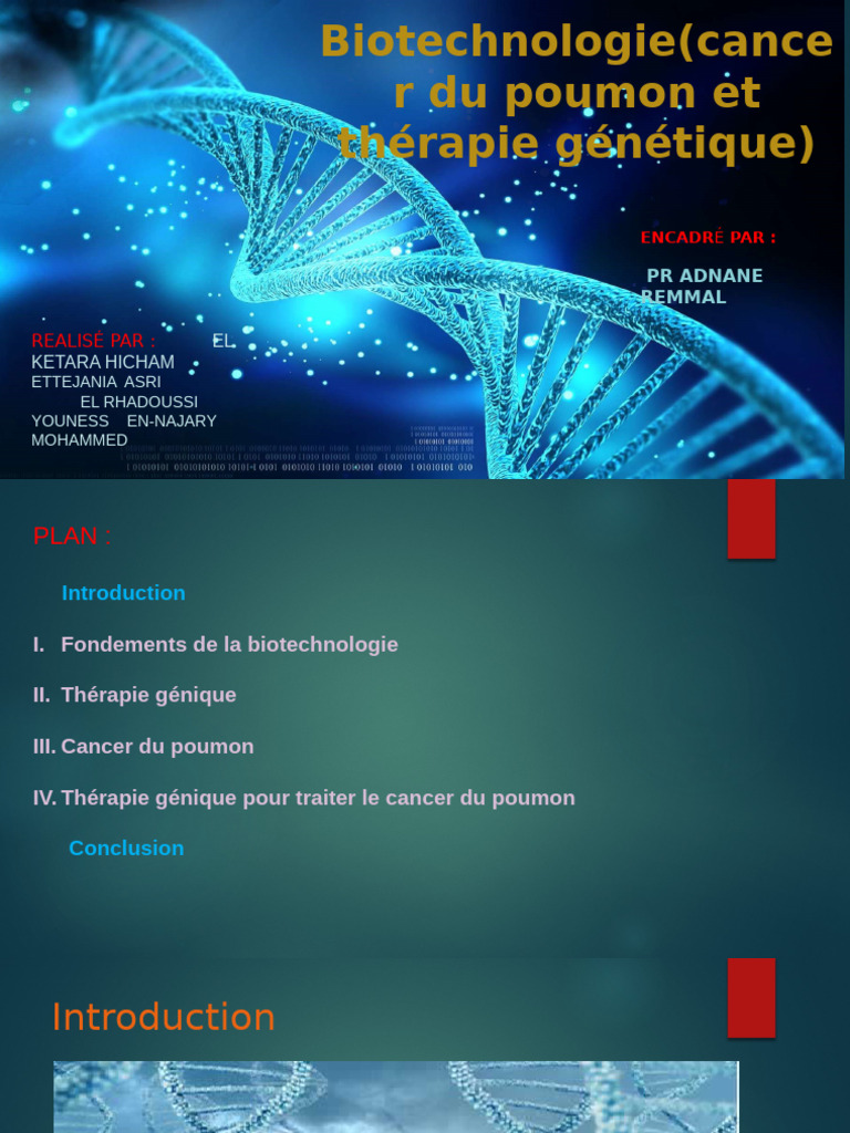 Biotechnologie(Cancer Du Poumon Et Thérapie Génétique 2023 (1) | PDF