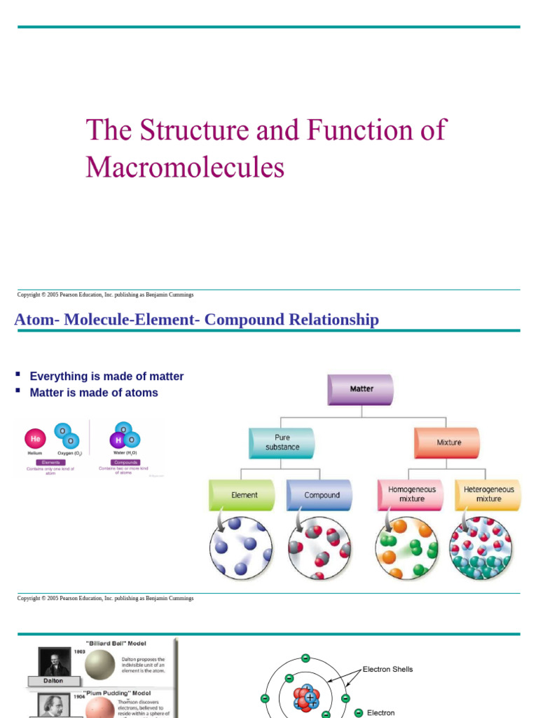 Module I - 2 - Structure and Function of Macromolecules PDF | PDF ...