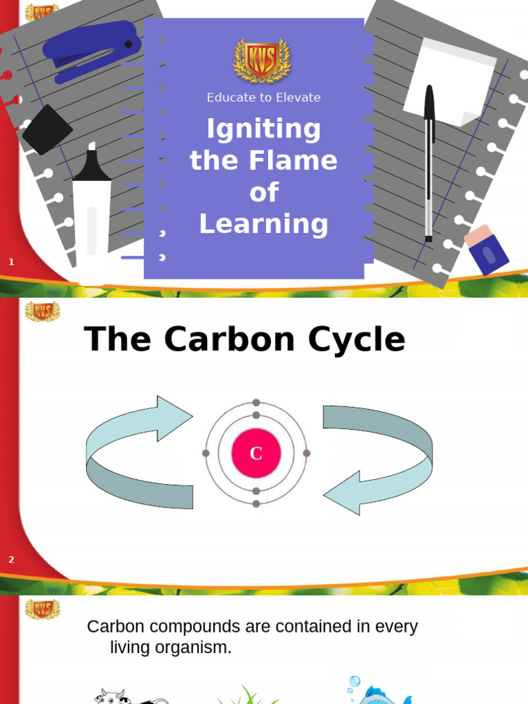 Understanding the Carbon Cycle | PDF