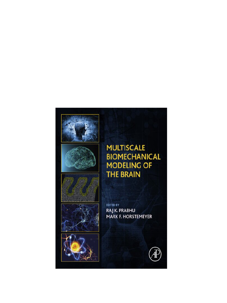 Multiscale Biomechanical Modeling of the Brain 1st edition - eBook PDFinstant download | PDF ...
