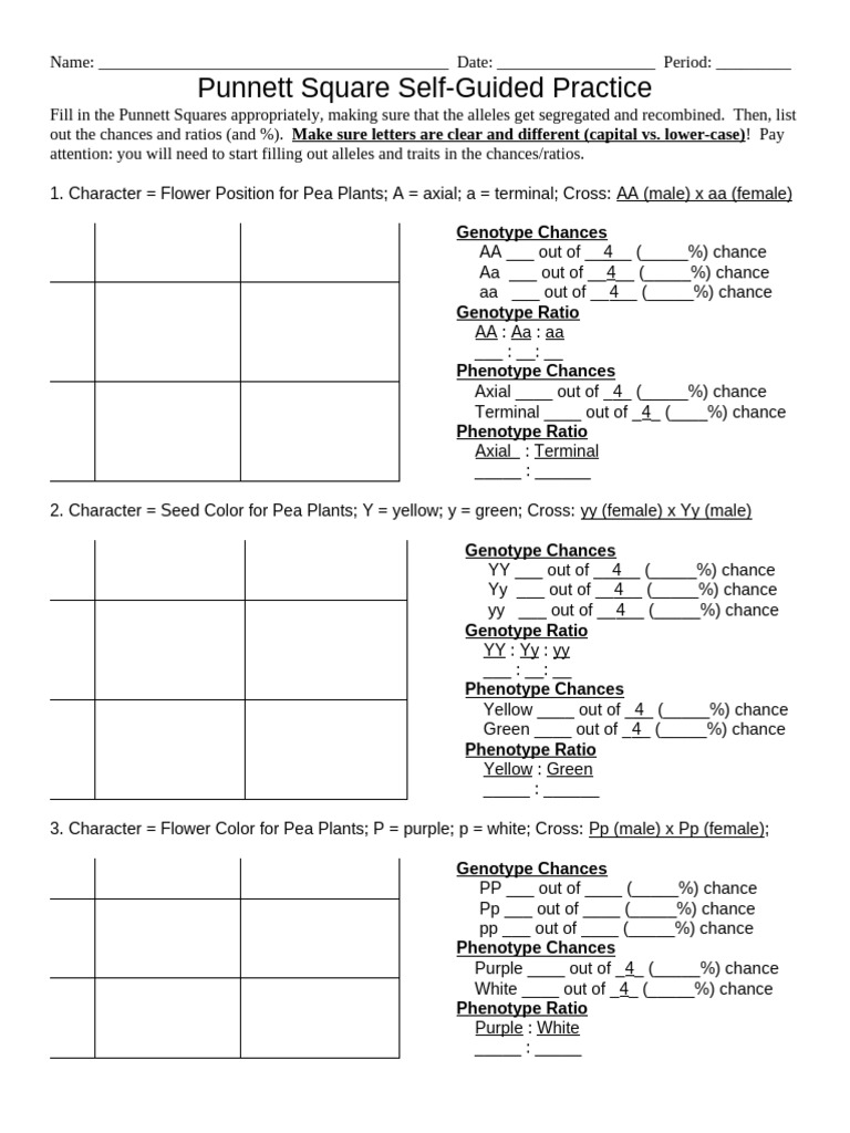Bio Punnett Square Practice | PDF | Dominance (Genetics) | Genotype