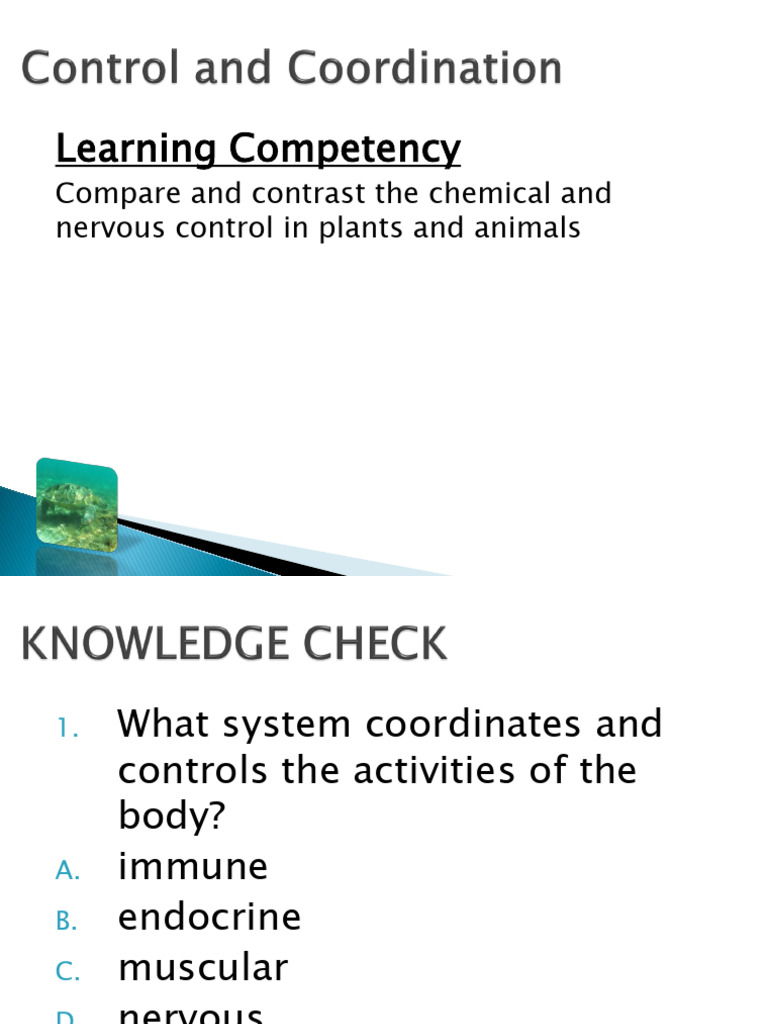 L 8 The Chemical and Nervous System 1 | PDF | Axon | Plant Hormone