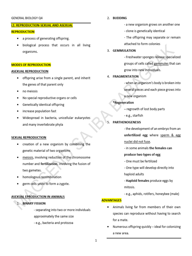 GEN-BIOLOGY-Q4-REVIEWER | PDF | Sexual Reproduction | Neuron