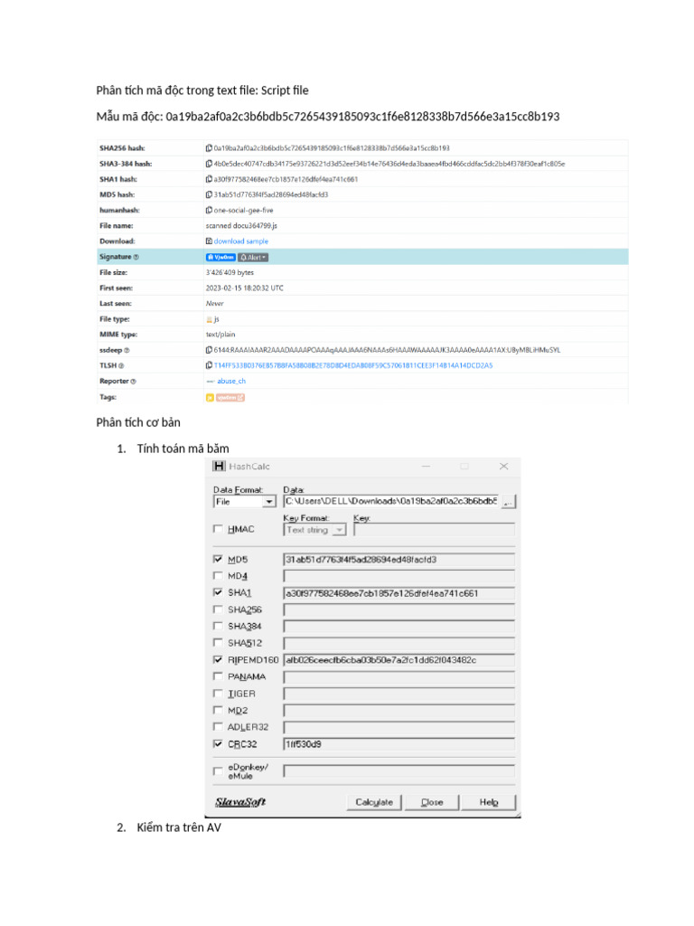 Phân-tích-mã-độc-trong-text-file (1) | PDF