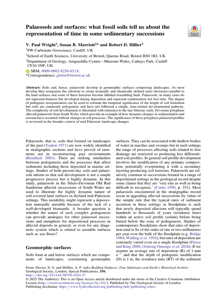 Palaeosols: Insights into Sedimentary Time | PDF | Soil | Fungus