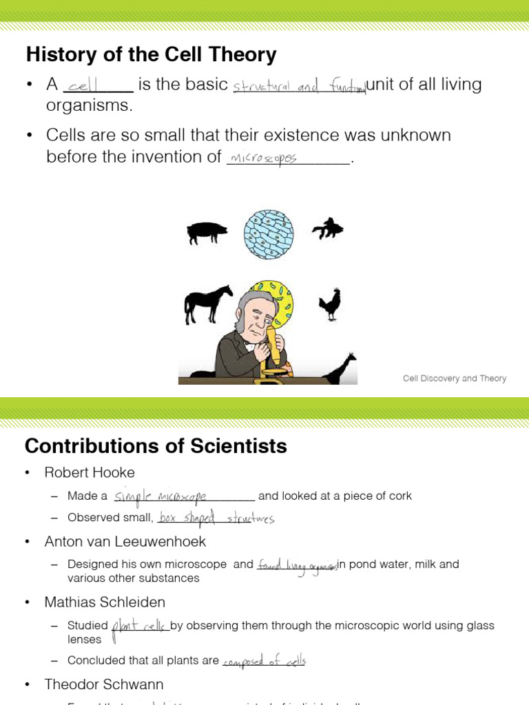 Bio Ch. 7 Cellular Structure & Function Student Notes | PDF | Cell ...