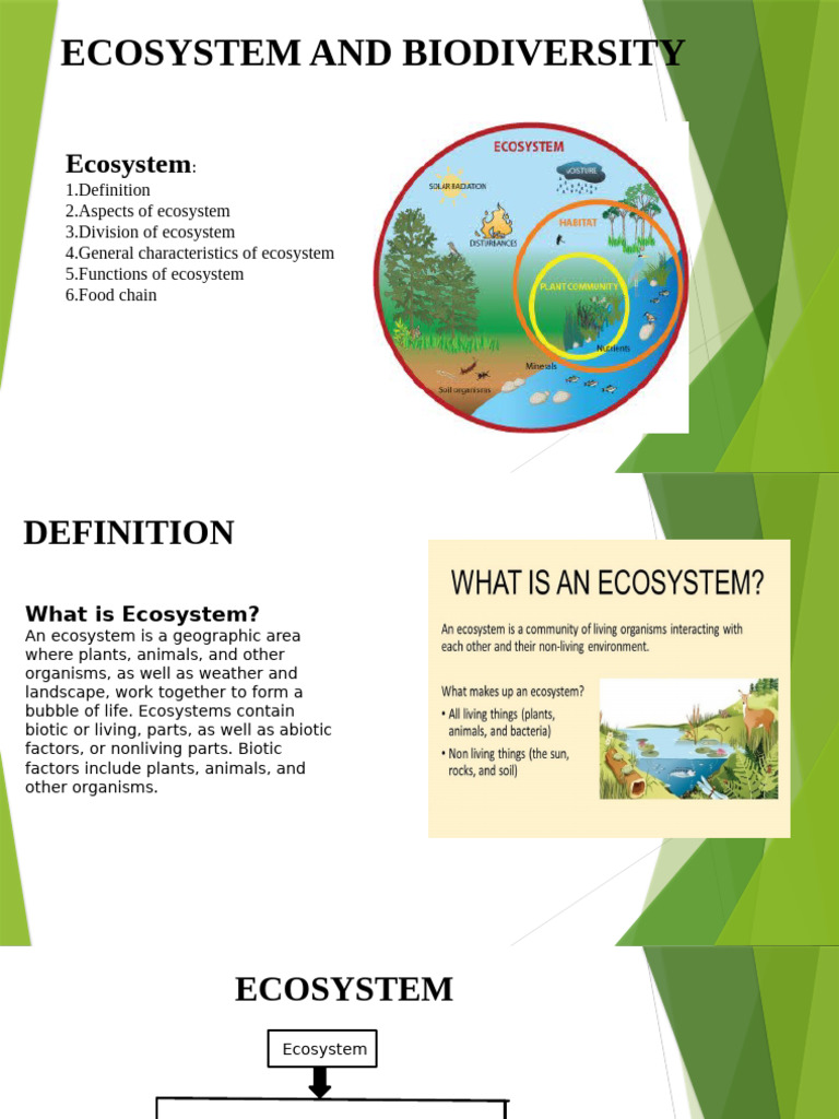 EST ppt[1] | PDF | Ecosystem | Aquatic Ecosystem