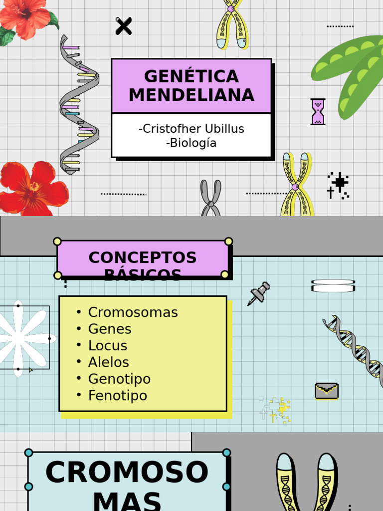 Genética Mendeliana | PDF