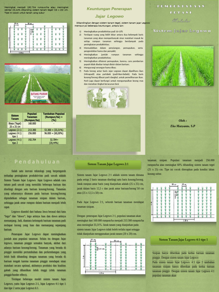 Keuntungan Sistem Tanam Jajar Legowo | PDF