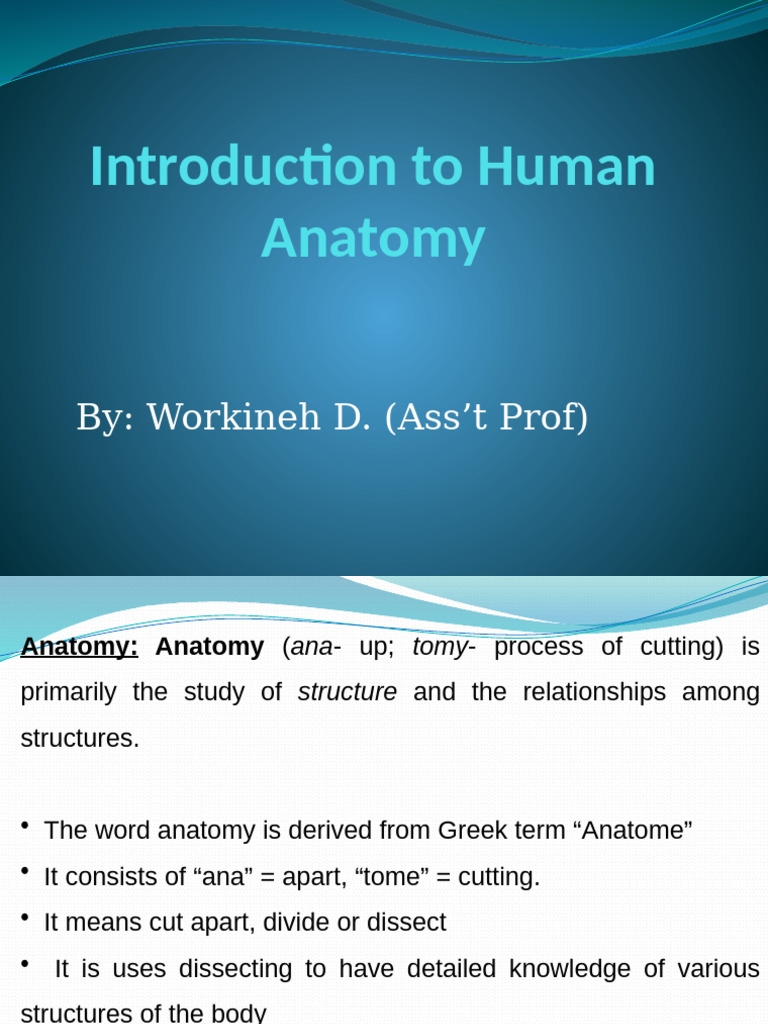 1. Introduction to Human Anatomy - Copy | PDF | Anatomical Terms Of ...