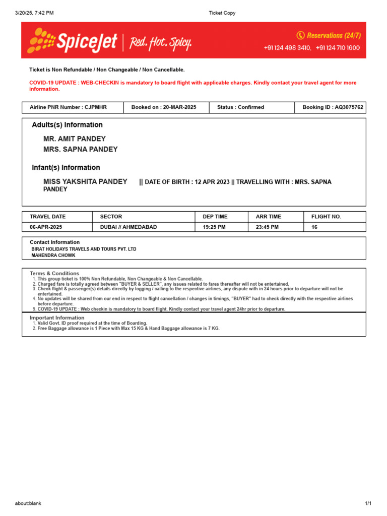 Non-Refundable Flight Ticket Details | PDF