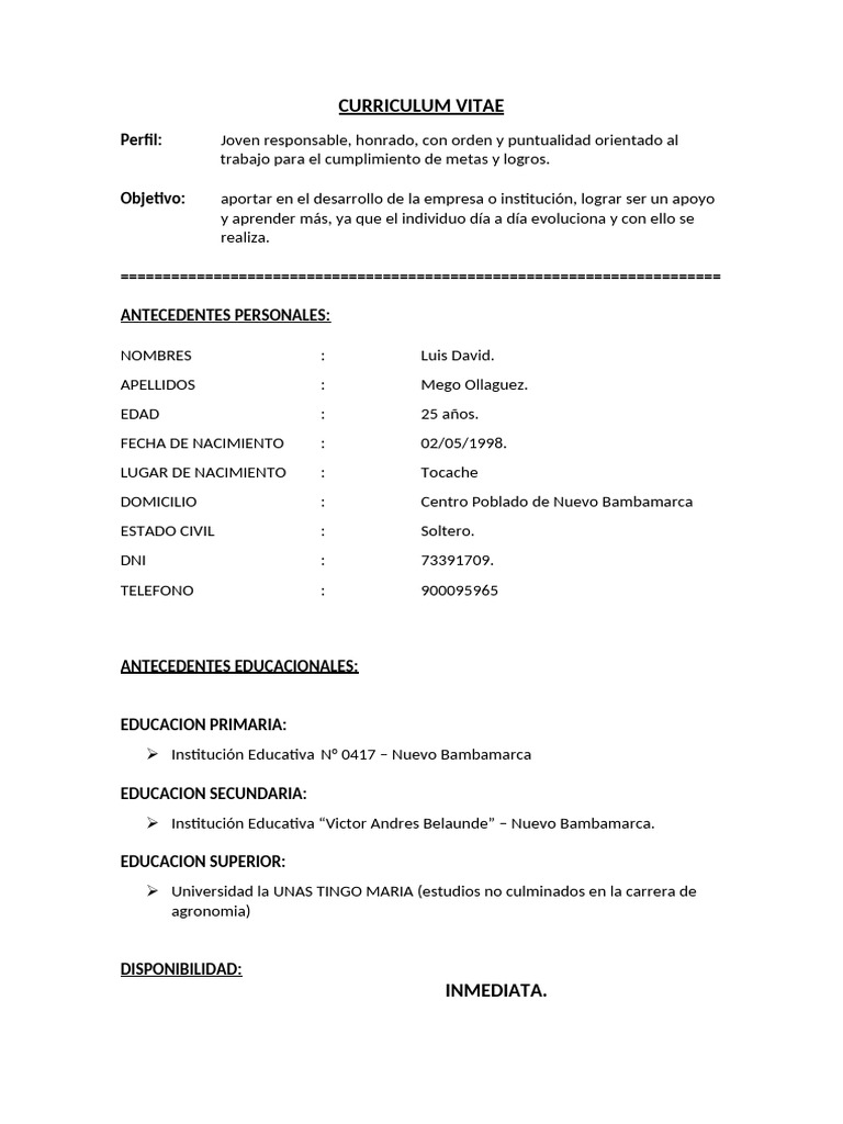 CURRICULUM Luis David | PDF