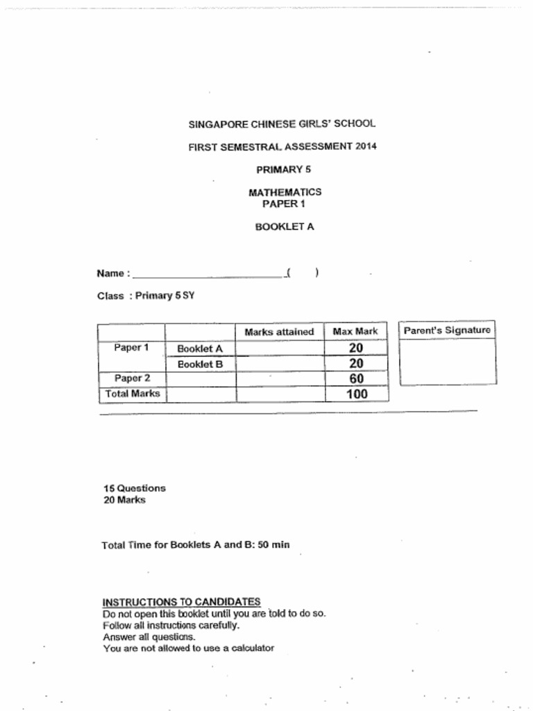 P5 Maths SA1 2014 Singapore Chinese Girls | PDF