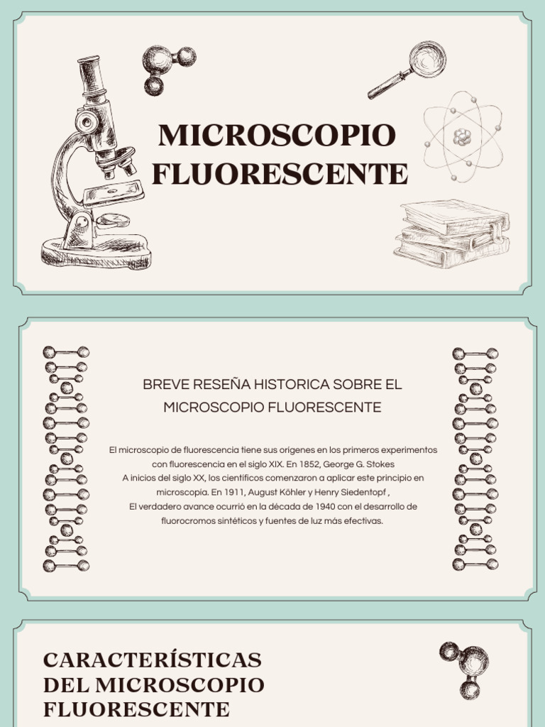 Historia y características del microscopio fluorescente | PDF ...