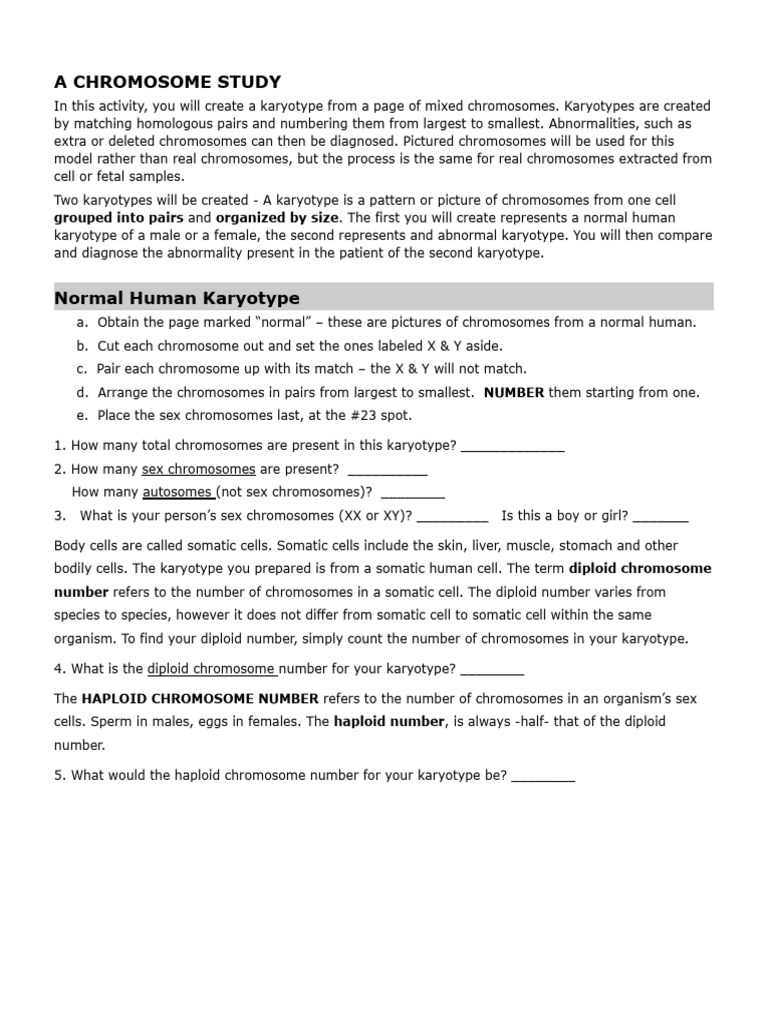 Chromosome Study (Cut and Paste) | PDF | Karyotype | Ploidy